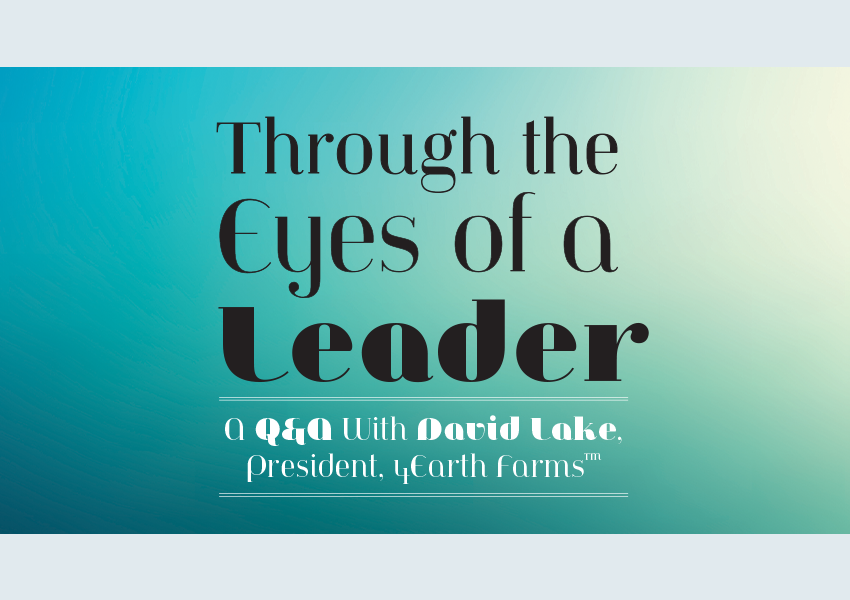 Through the Eyes of a Leader: A Q&A With David Lake, President, 4Earth ...