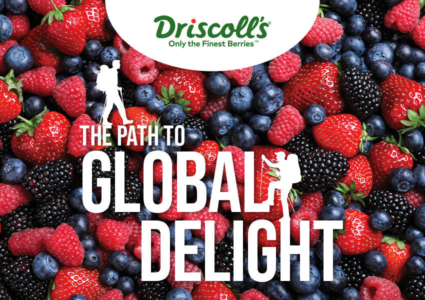 The Path to Global Delight | www.thesnack.net