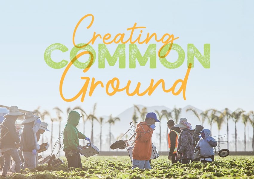 Creating Common Ground | www.thesnack.net