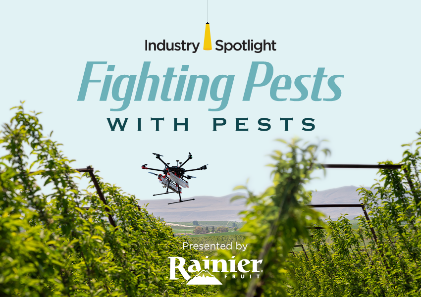 Industry Spotlight: Fighting Pests With Pests | www.thesnack.net