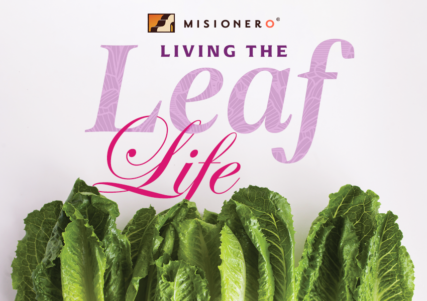 Living the Leaf Life: A Q&A With Nicole Minnich-Zapata, Marketing ...