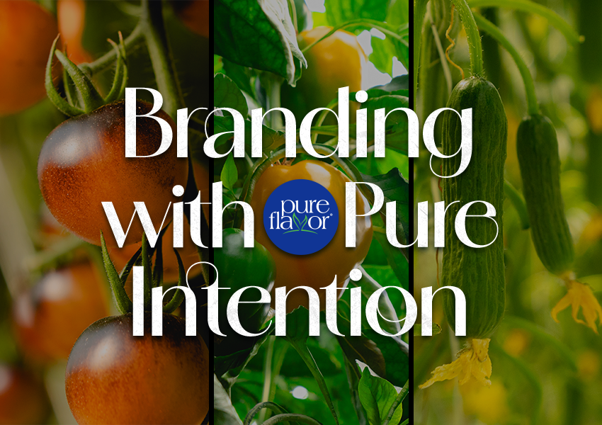 Branding With Pure Intention | www.thesnack.net