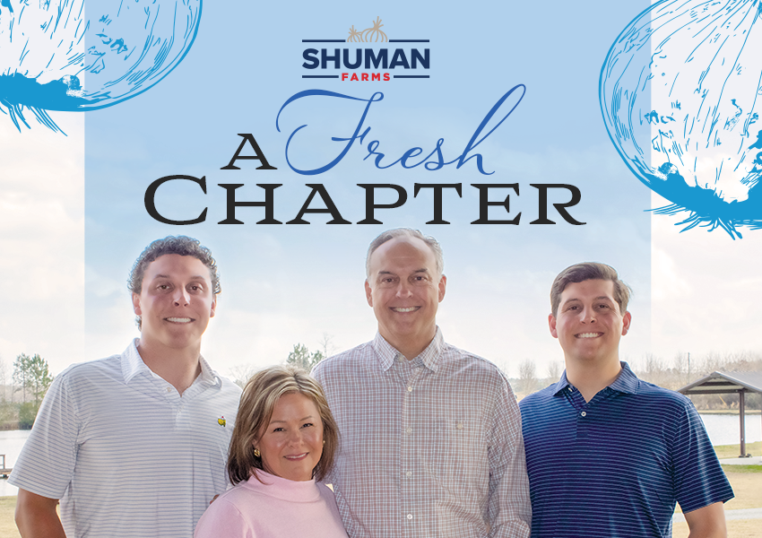 A Fresh Chapter | www.thesnack.net