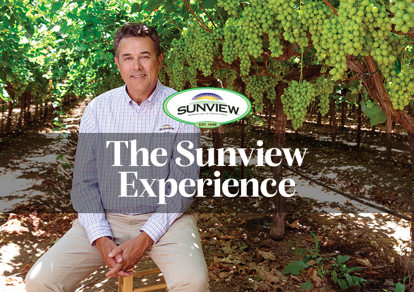 The Sunview Experience | www.thesnack.net
