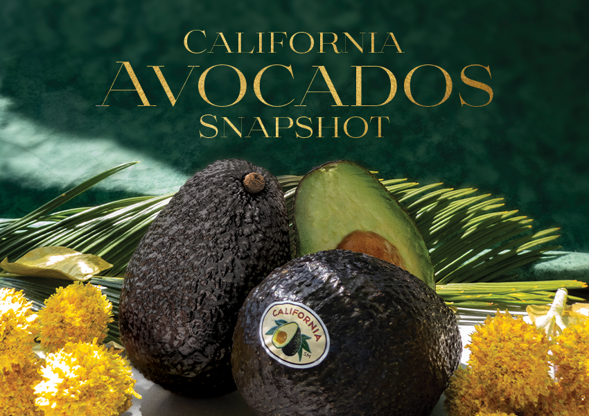 California Avocados Snapshot | www.thesnack.net