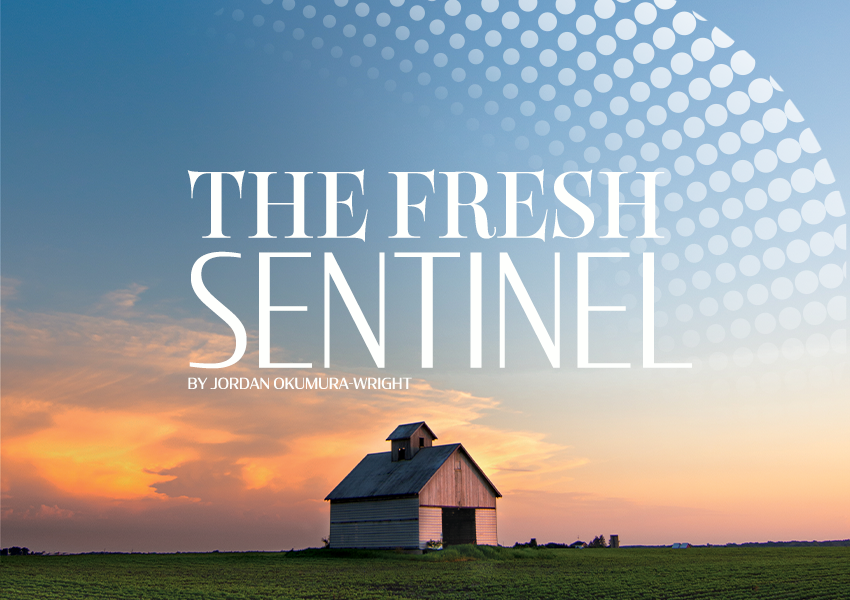 The Fresh Sentinel | www.thesnack.net