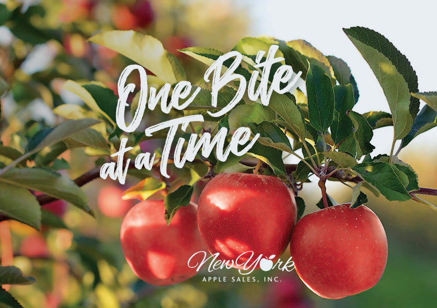 One Bite at a Time: New York Apple Sales Focuses on Expansion and ...