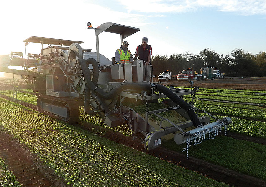 Ramsay Highlander: Propelling Our Industry Forward | www.thesnack.net