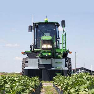 Strawbotics: The Next Generation in Strawberry Harvesting Tech with ...